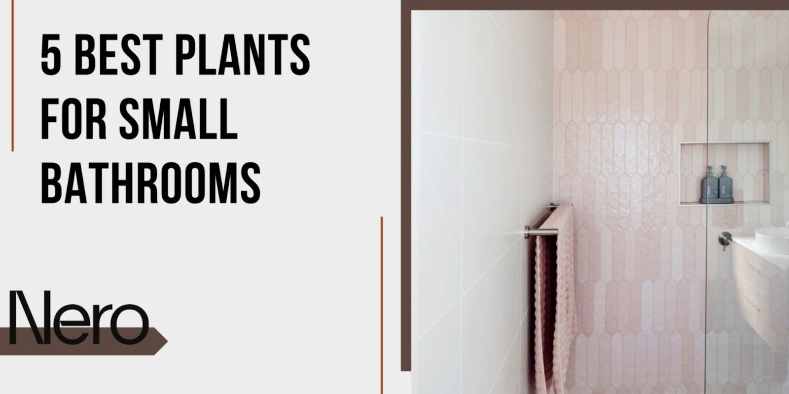 Best Bathroom Plants for Low Light, Humid Environments & Small or Large ...