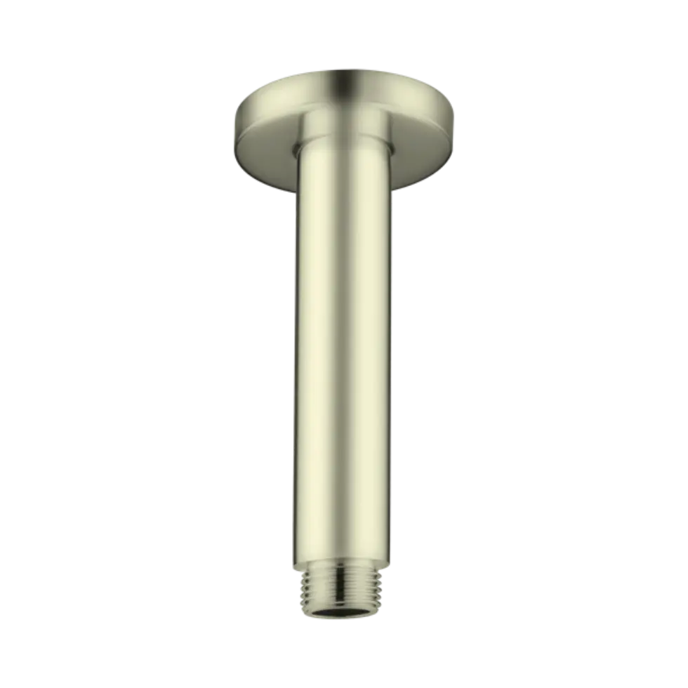 Round Ceiling Arm 100mm Length Brushed Gold